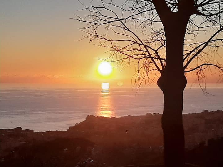 Appartamento Splendida Collina
Dal Moro 44 - Genova