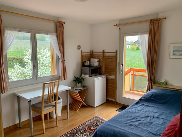 Chambre Lumineuse Dans Les Vignes - Nyon