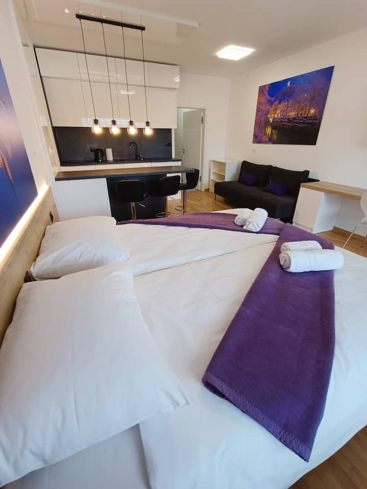 Vijolična Garsonjera Z Vsemi Storitvami Hotela - Ljubljana