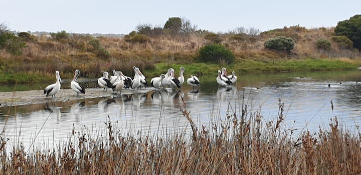 Bryants Goolwa Beachhouse   2 Minutes To The Beach - Middleton