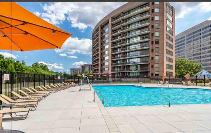 Cozy Perfect 1bd In The Heart Of Crystal City! - Arlington, VA