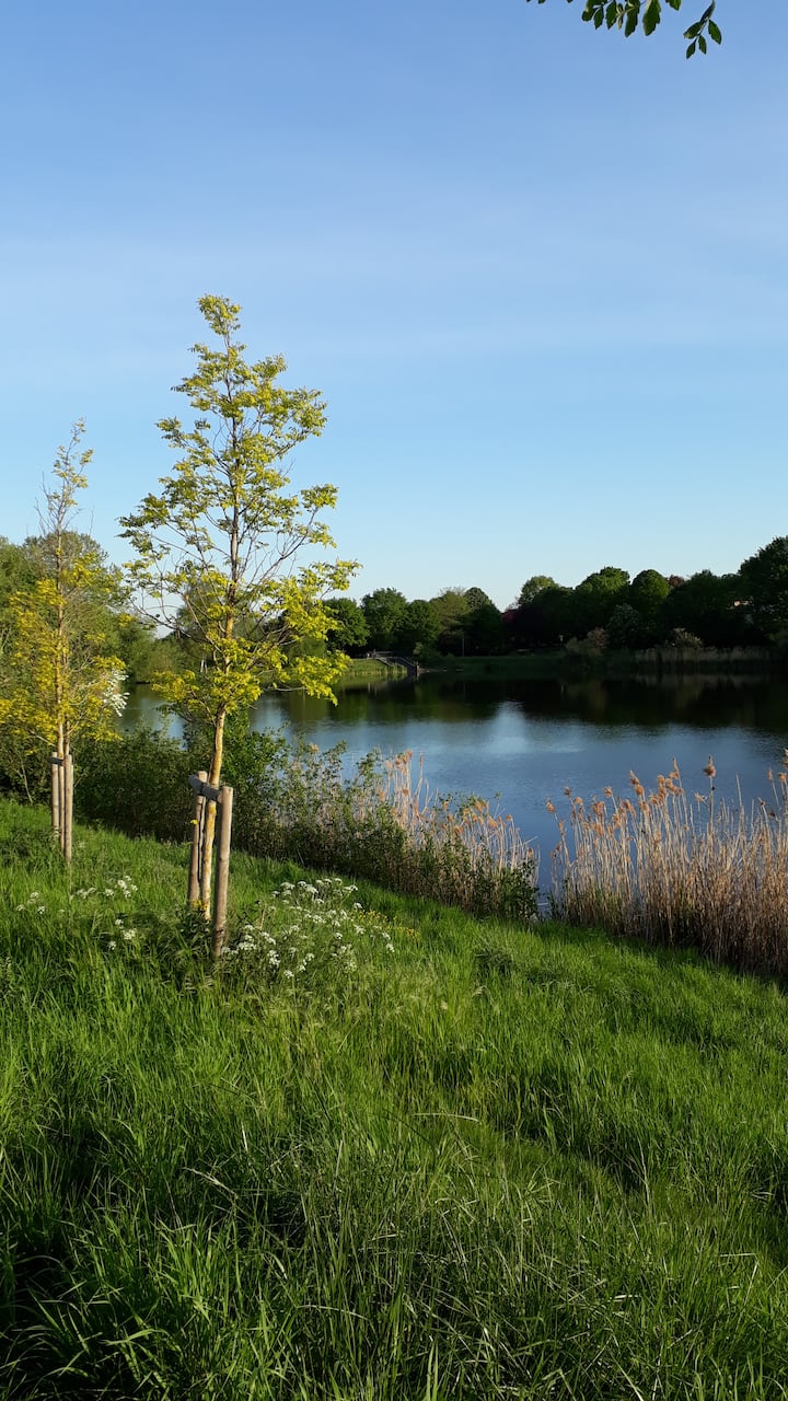 Studio Tout Confort Dans Le Quartier Historique - Noisy-le-Grand