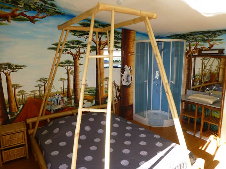 Studio Une Piece Ambiance Madagascar - Saint-Pierre