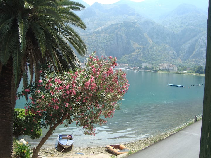 Waterfront Stone Villa Apartment - Kotor