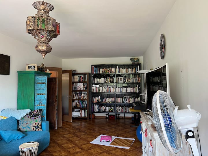 Nice Flat   Near To Old Town, Lake - Ginebra