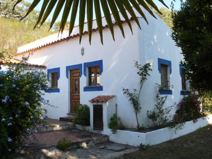 Een Leuk Huisje Met Alle Privacy - Vila Nova de Milfontes