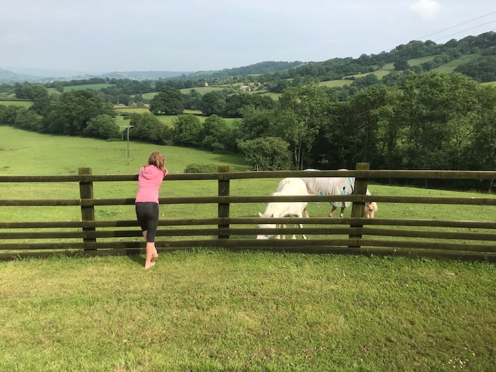 Cottageonfarmandstablesedevon, Picturesqueviews, Nrjurassiccoast-couplesdiscounts - Devon