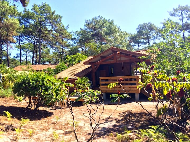 Chalet Au Coeur Des Pins Dans Un Domaine Naturiste - Le Porge