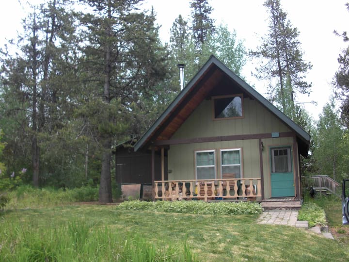 In Woods, Town & Peace, 2bd+loft - McCall, ID