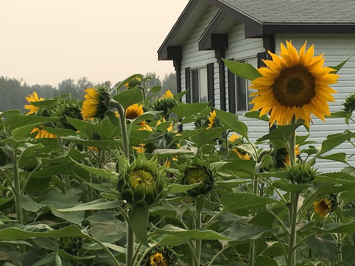 Farmhouse Close To City! 90 Minutes To Edson. - Stony Plain