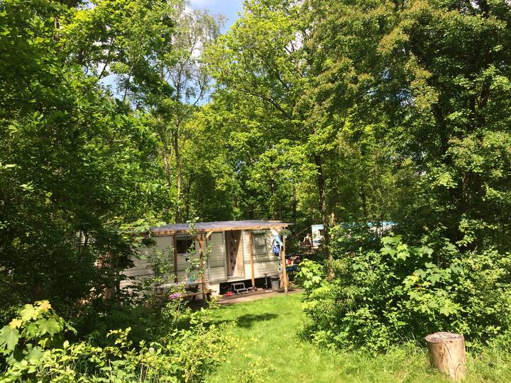 Beautiful Holiday Relaxing Caravan - Castricum