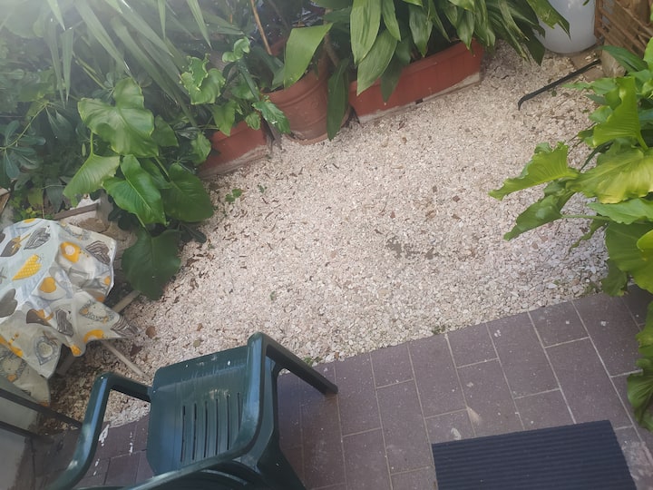 L Oasi Celeste - Cattolica