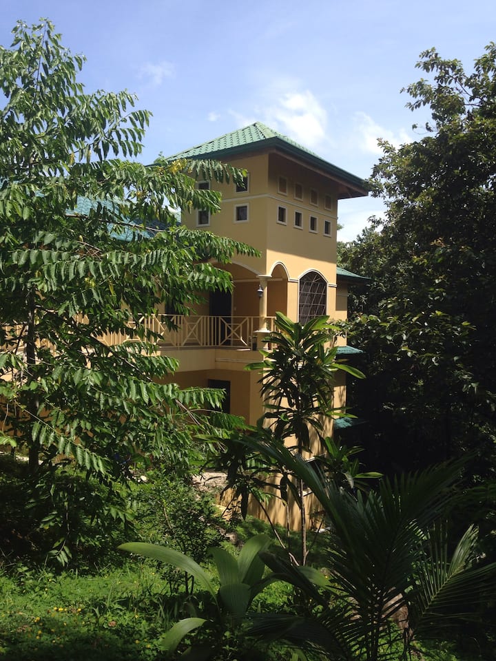 Jungle Sanctuary With Ocean Views - Nosara