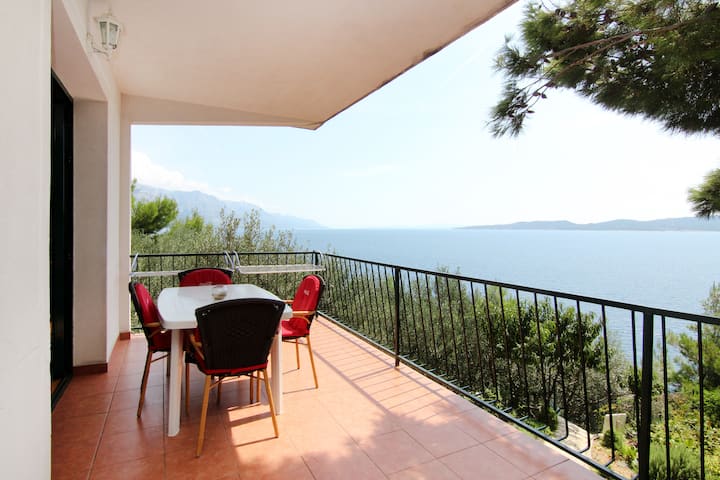 4 Exclusive Apartments (Similar) (Ap #4) - Mimice