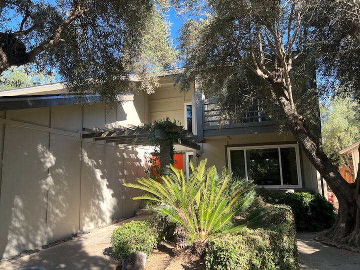 College Area Charmer With Modern Updates! - Modesto, CA