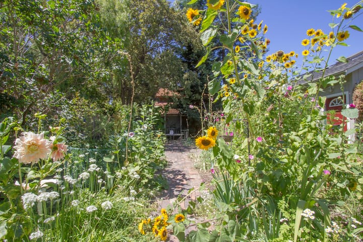 Studio Cottage In A Lovely Garden - Los Altos, CA
