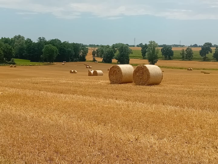 Grand Logement Refait à Neuf - Vonnas