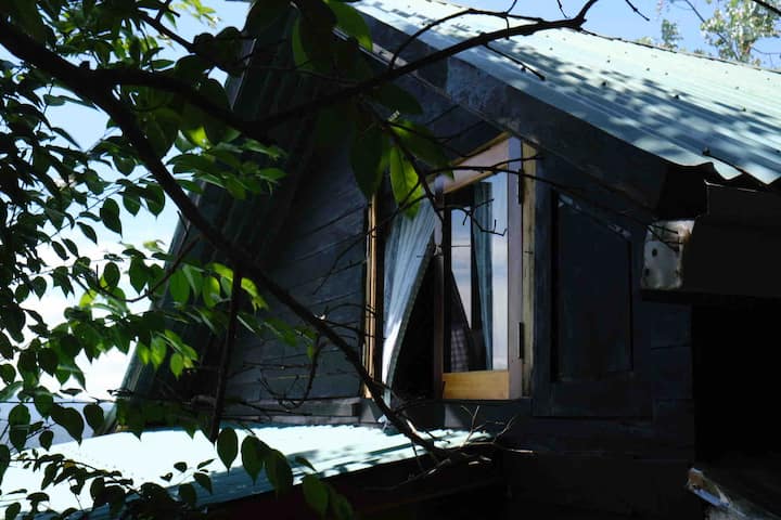 Entire Wooden House In Dalat (Jang & Min's House) - Dalat