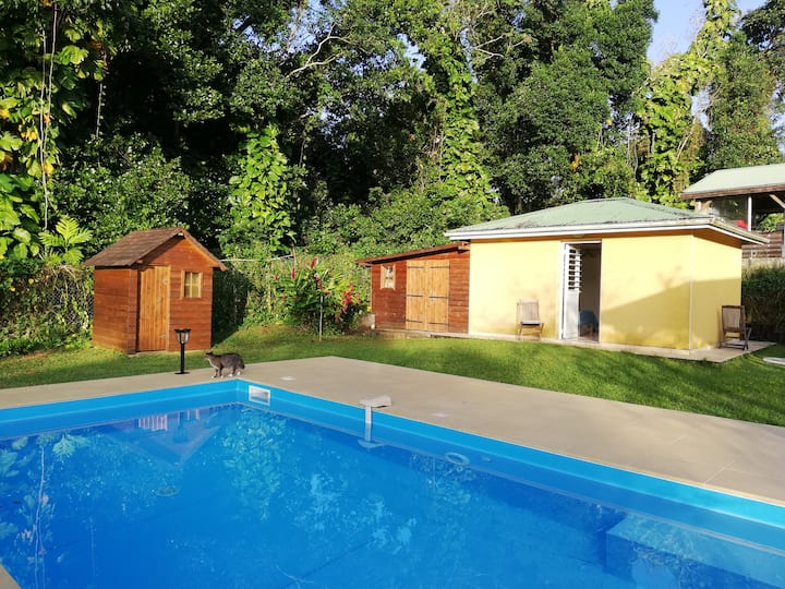 Bungalow Dans Un Jardin Tropical Avec Piscine - Guadeloupe