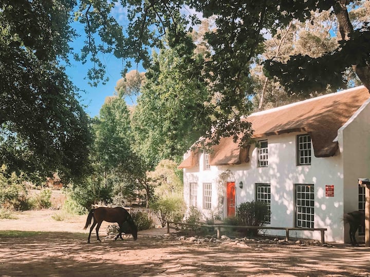 Riverside Cottage - Greyton