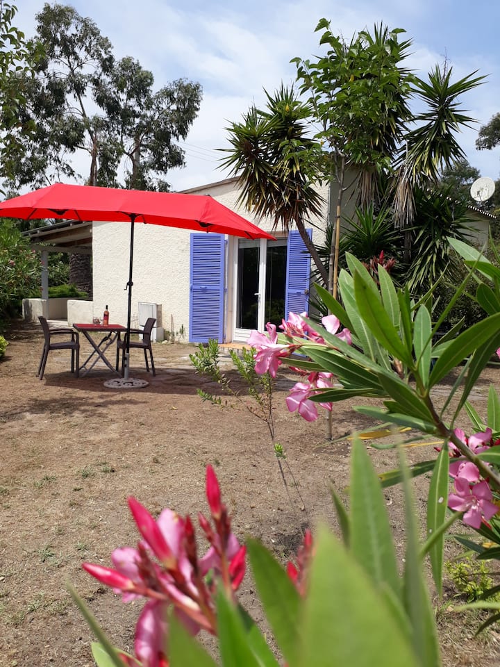 Studio Bambou - Corsica