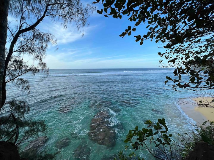 Lovely 1 Bedroom Condo With Ocean View - Kauai, HI