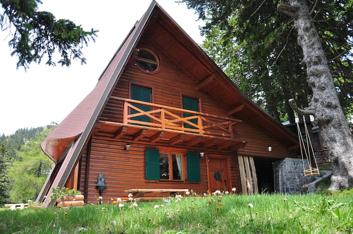 Chalet Alpinka 1 - Logarska Dolina