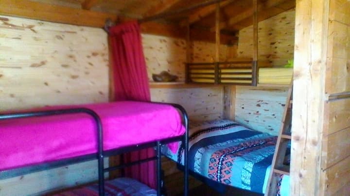 Le Chalet Des Copains Ou Grande Famille - Régusse