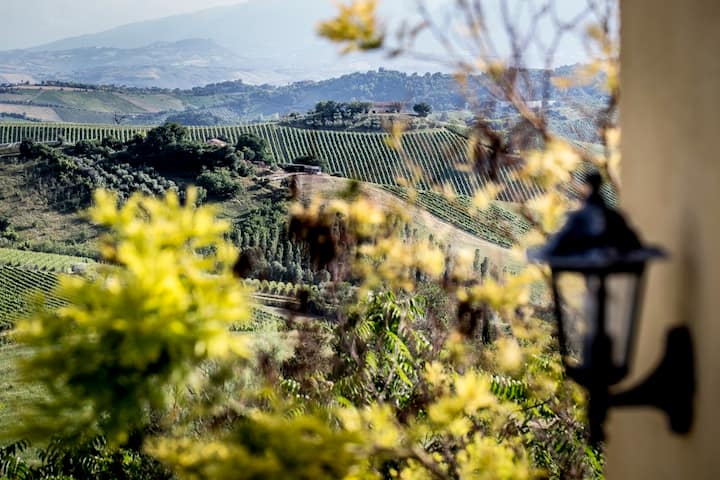 Giglio Apartment With The Pool Access - Cupra Marittima