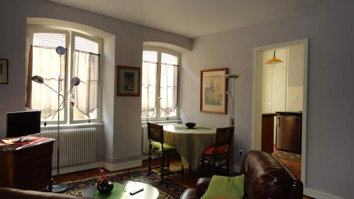 F1  Dans  Maison Du 17eme - Colmar