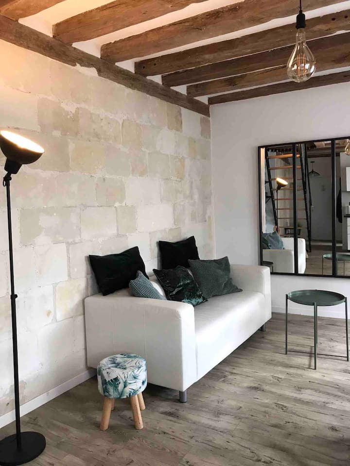 Duplex Au Coeur Du Quartier Historique - ibis Tours Sud