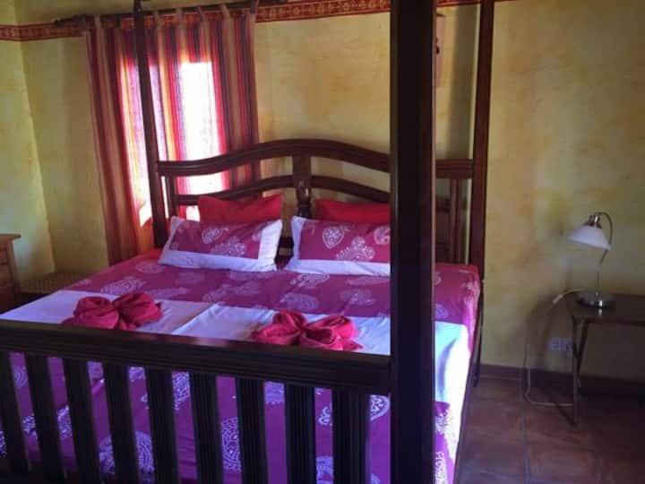 Finca Sa Vinya 2 - Muro