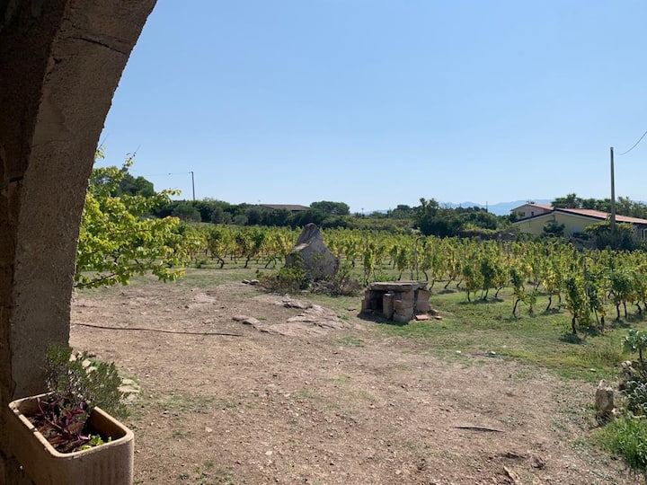 In Binza (In Vigna) - Bosa