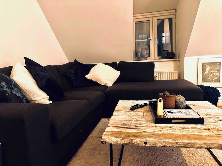 Chambre Centreville Proche De Ttes Les Attractions - Copenhaguen