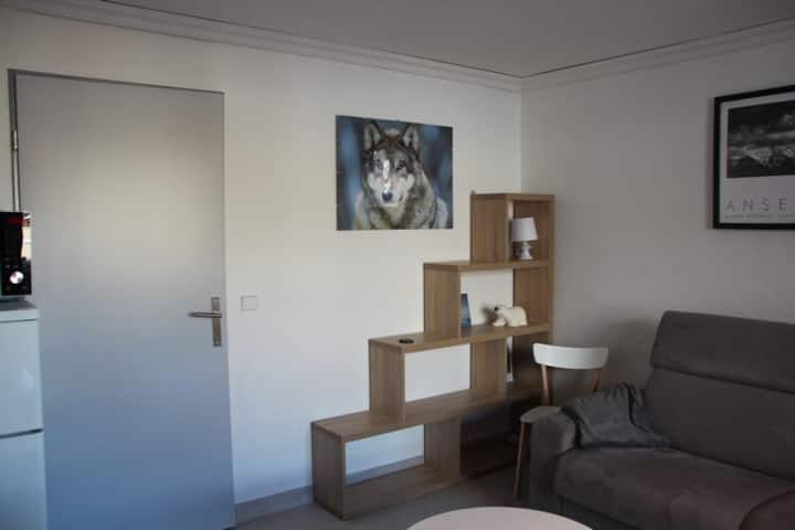 Appartement T2 33m² Au Pied Des Pistes Et Piscine - L'Alpe d'Huez