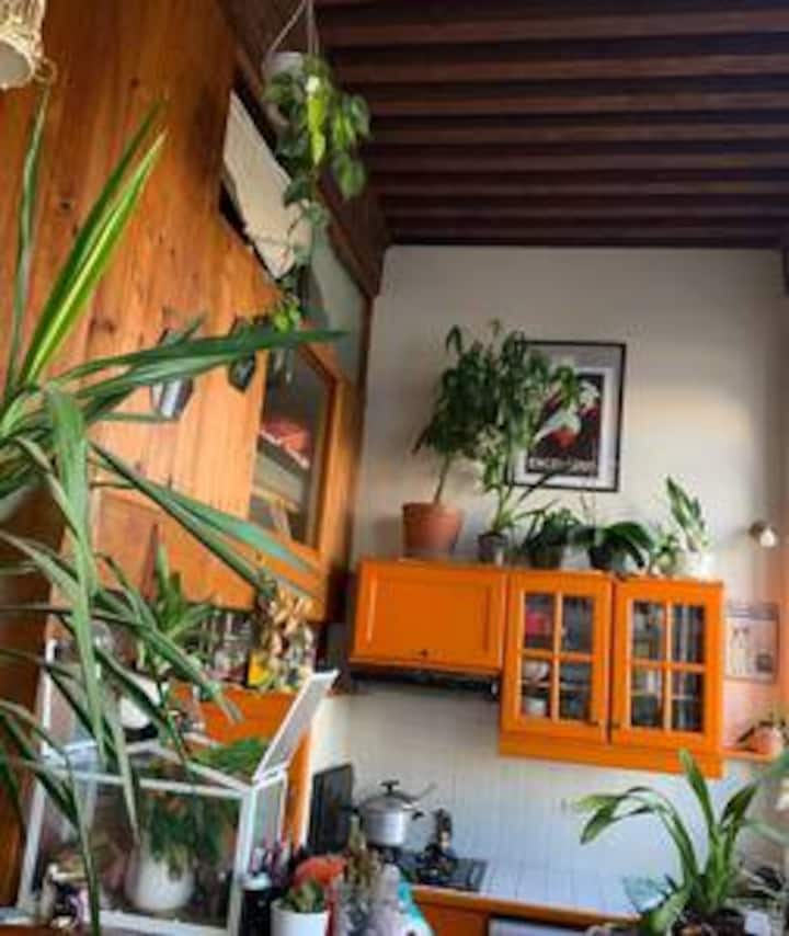 Cocooning & Arty Jungle Croix Rousse - Lyon