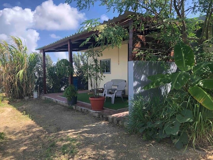 Bellisima - Curaçao