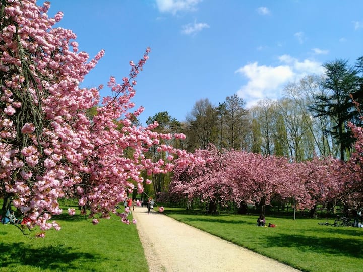 Studio 30m2, 30min From Paris By Rer, Bus+parking - Meudon