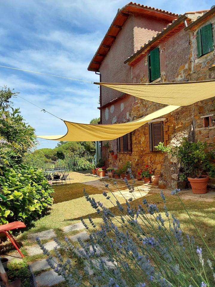 La Busattina Di Emilio - Grosseto