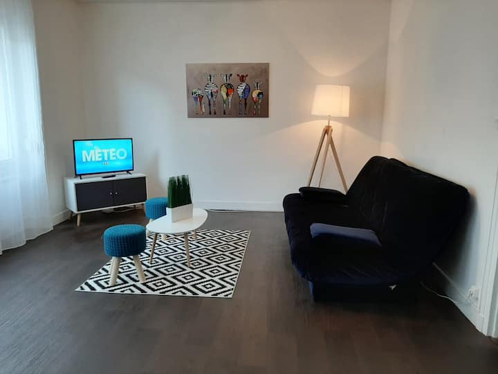 Grand Appartement Hypercentre Brest - Brest