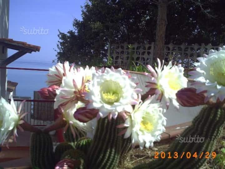 Appartamento In Villa Sul Mare (1° Piano Mare) - Rodi Garganico