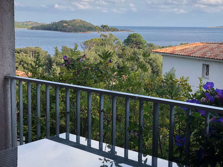 Studio Vue Mer 200m De La Mer X22 - Porto-Vecchio