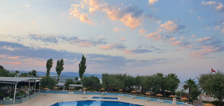 Sarımsaklı Denize Sıfır, 2+1 Manzaralı - Ayvalık