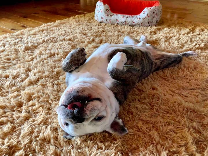 Margaret’s Meadow - West Virginia