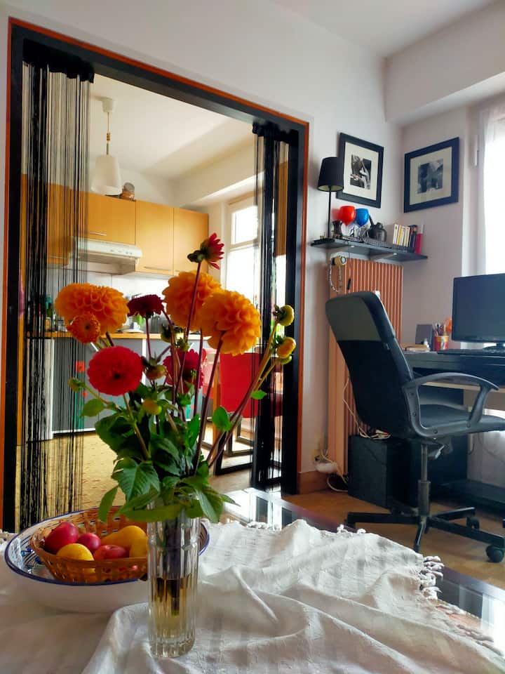 Appartement 
Calme, Lumineux 
Et Bien Desservi. - Kehl