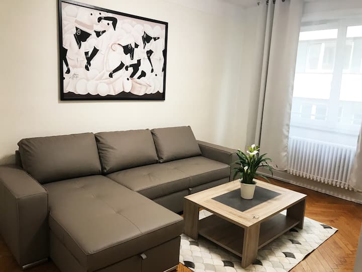 Strasbourg-centre Historique-confort Et Design - Estrasburgo