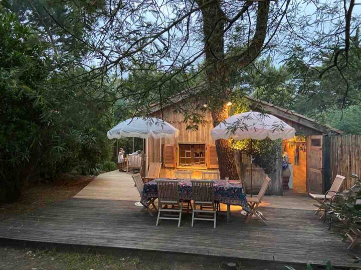 Belle Cabane Dans Les 44 Hectares - Cap Ferret