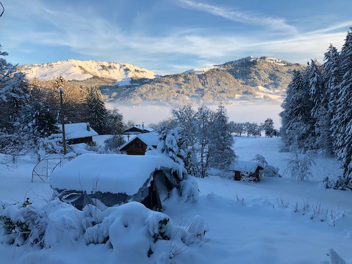 Studio- Cocon Ensoleillé, En Lisière De Forêt - Haute-Savoie