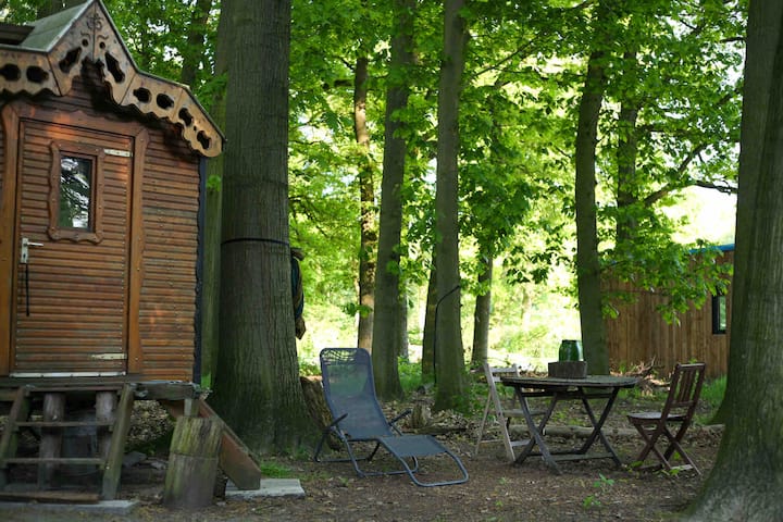 Kleiner Zirkuswagen Im Wald - Emsdetten