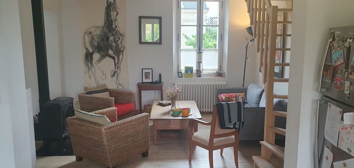 Maison Typique En Tuffeau - Saumur